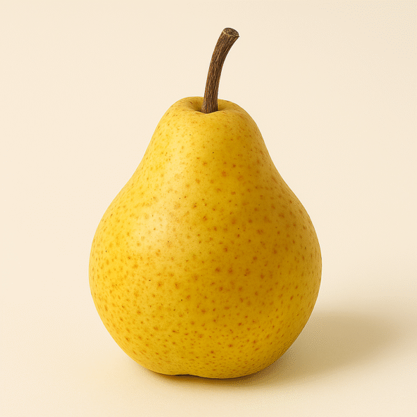 Early Gold Pear Tree – fruittreeguy.com